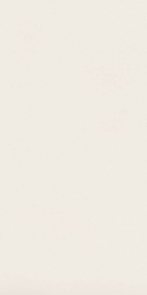 Керамогранит Absolute White Matte 159x324 20 mm (AIRU) Atlas Concorde ...